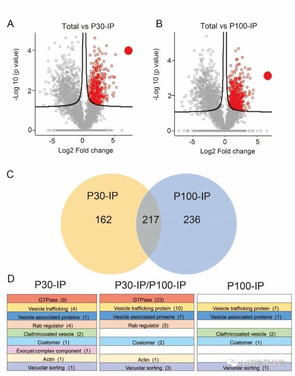 Plant Cell | 研究揭示卵菌效应蛋白进入植物宿主细胞的机制 ！ - 知乎