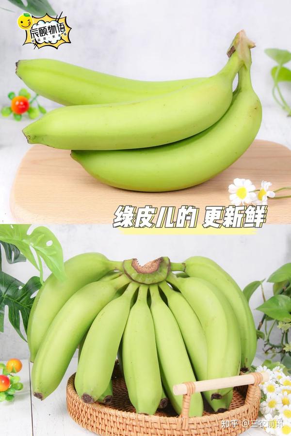 辰颐物语云南威尼斯香蕉：绿皮香蕉，自然熟，更香甜！ - 知乎