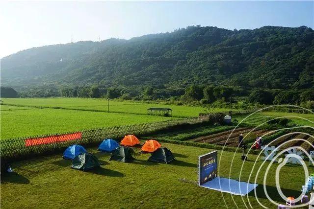 Go camping | 他们到底在做些什么有趣的事情 - 知乎