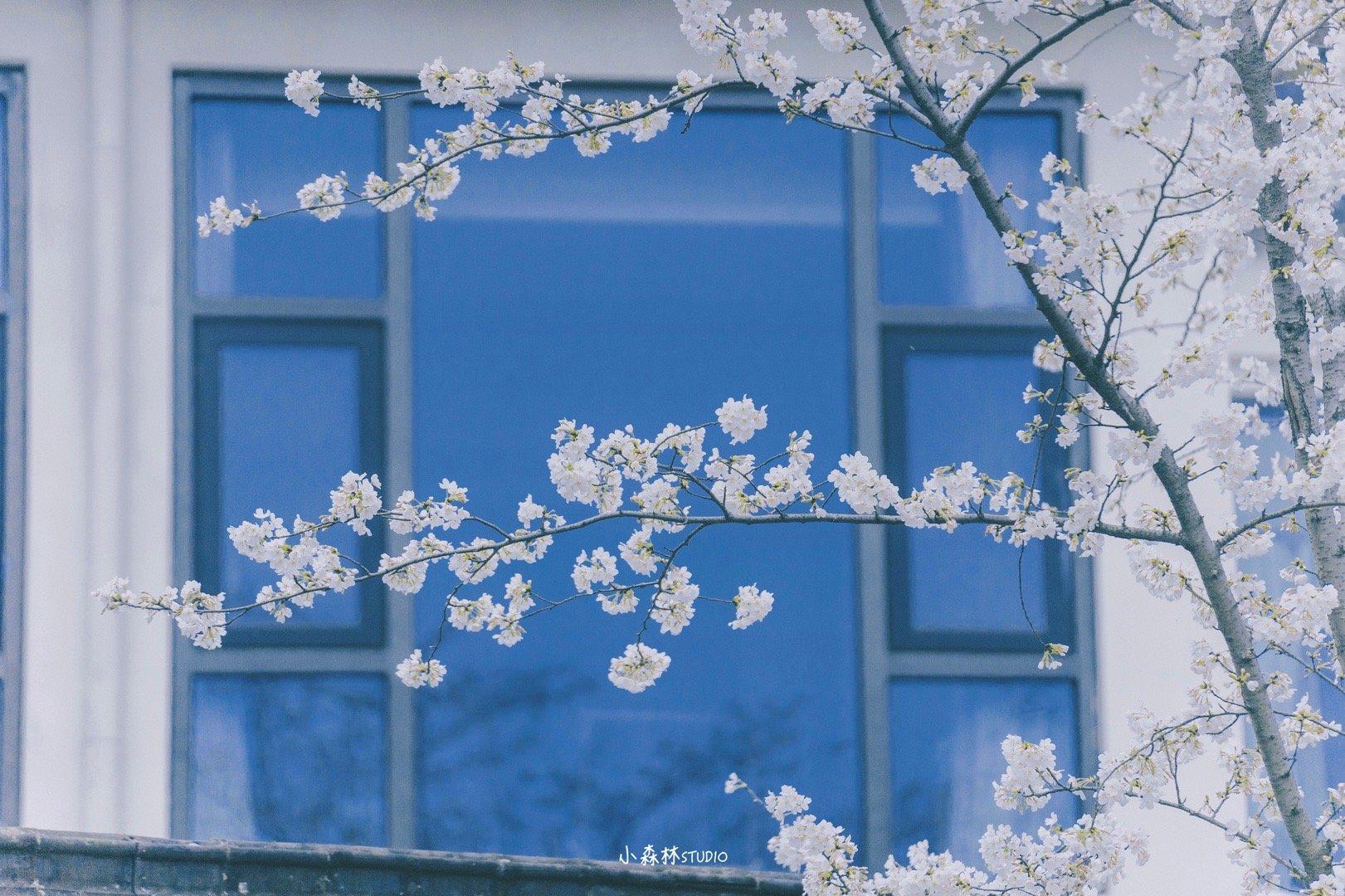 有什么好看的iPad横屏壁纸呀? - 知乎