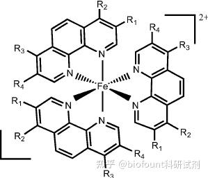 铁离子探针（Fe2+,Fe3+） - 知乎