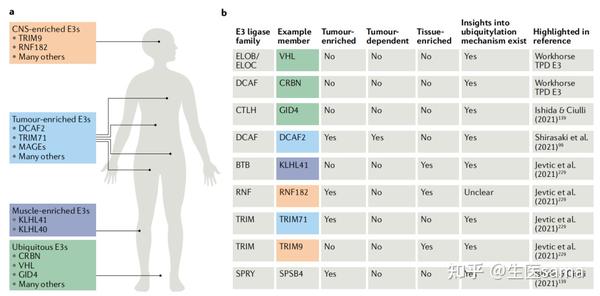 Nature PROTAC综述 - 知乎