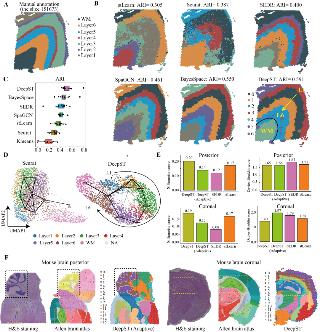 Nucleic Acids Res. | DeepST: 使用深度学习识别空间转录组的空间域 - 知乎