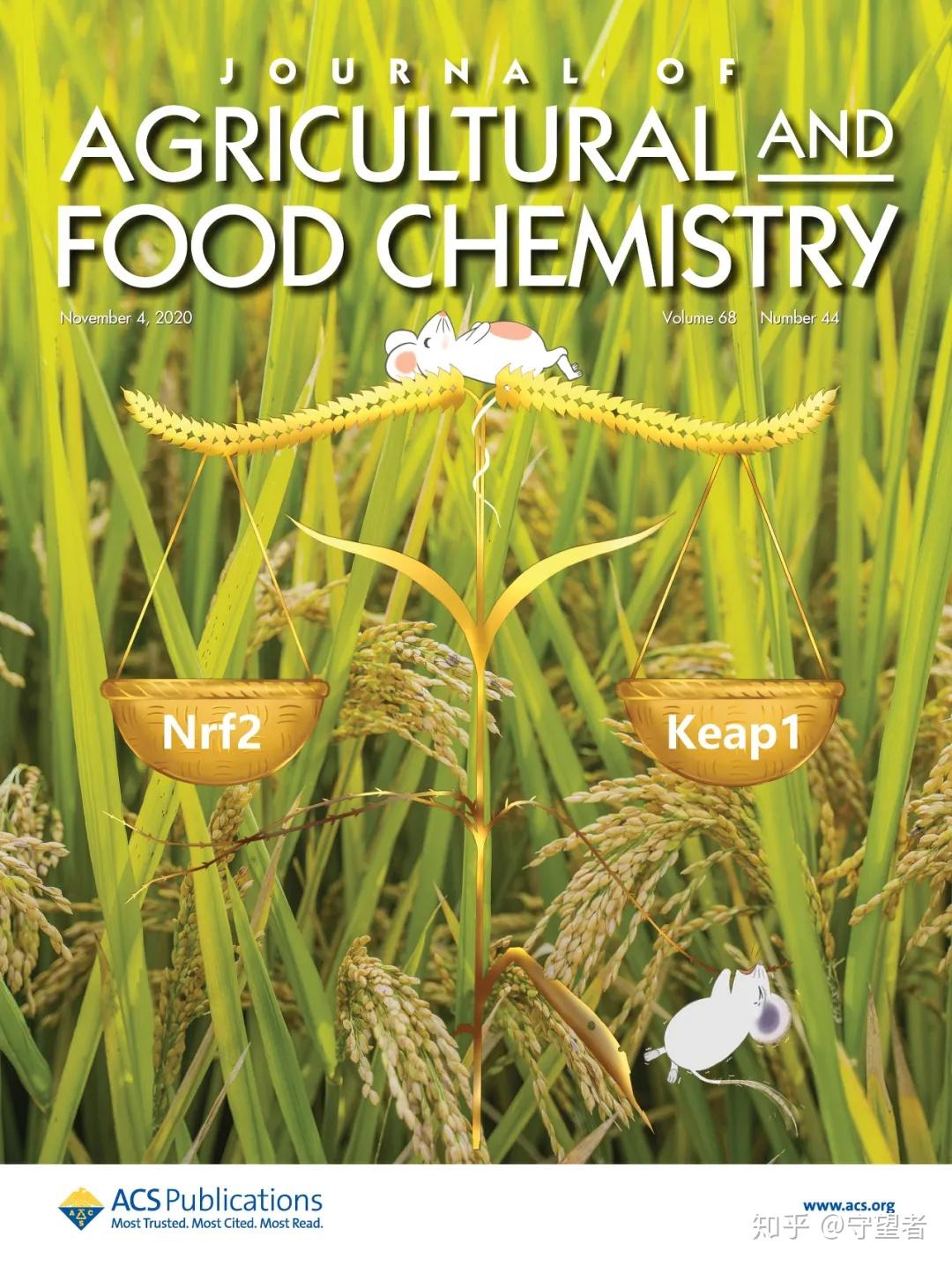 JAFC封面：米糠中活性肽KF-8可减轻D-半乳糖诱导的衰老老鼠中的氧化应激 - 知乎