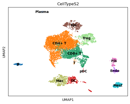 单细胞转录组实战03: 使用celltypist注释细胞 - 知乎