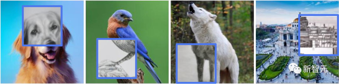 LeCun世界模型出场！Meta震撼发布首个「类人」模型，理解世界后补全半张图，自监督学习众望所归 - 知乎