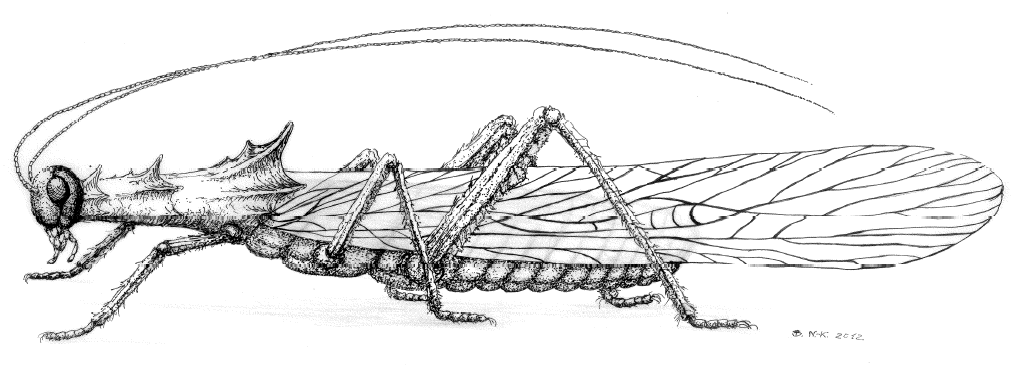 【地球演义】六足传奇7：蝗食蜩饮 - 知乎