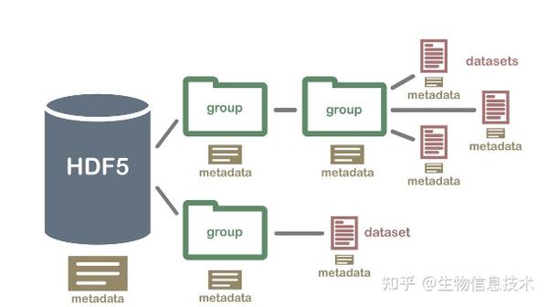 单细胞数据存储——HDF5格式 - 知乎