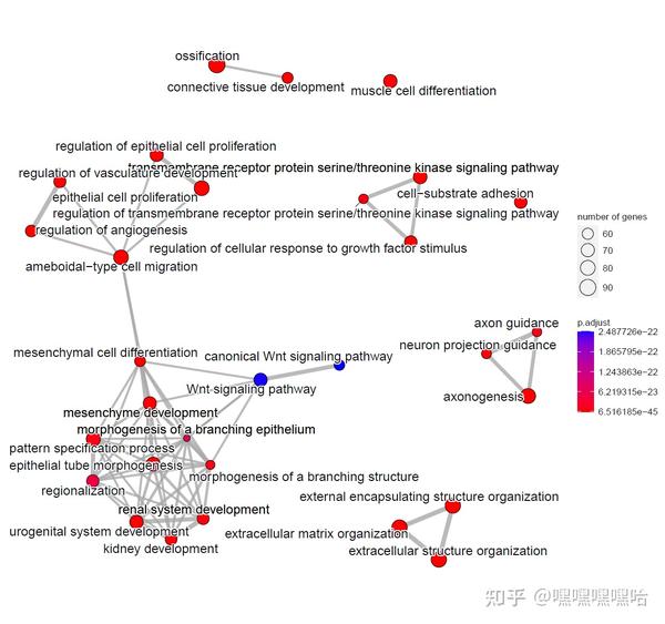 RNA-seq入门实战（六）：GO、KEGG富集分析与enrichplot超全可视化攻略 - 知乎