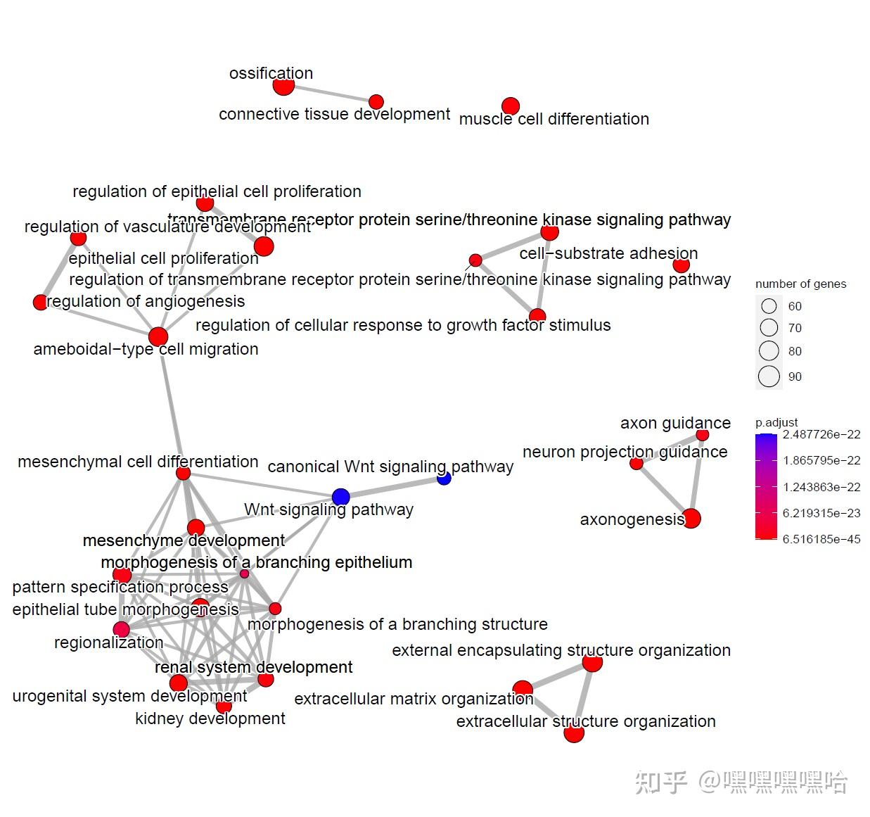RNA-seq入门实战（六）：GO、KEGG富集分析与enrichplot超全可视化攻略 - 知乎
