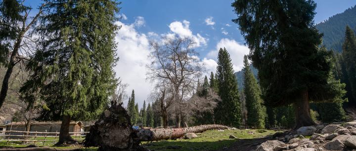 Rust 实战丨手写一个 RwLock - 知乎