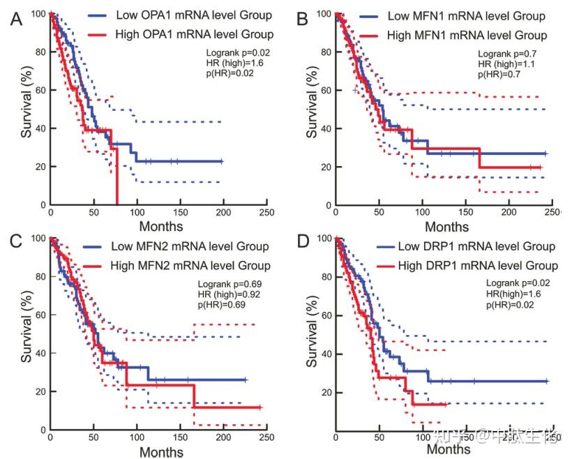 Cell Death Dis：线粒体蛋白Opa1参与了吉非替尼耐药性 - 知乎