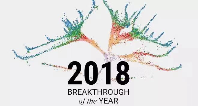 重磅！Science期刊盘点2018十大科技突破（附官方视频） - 知乎
