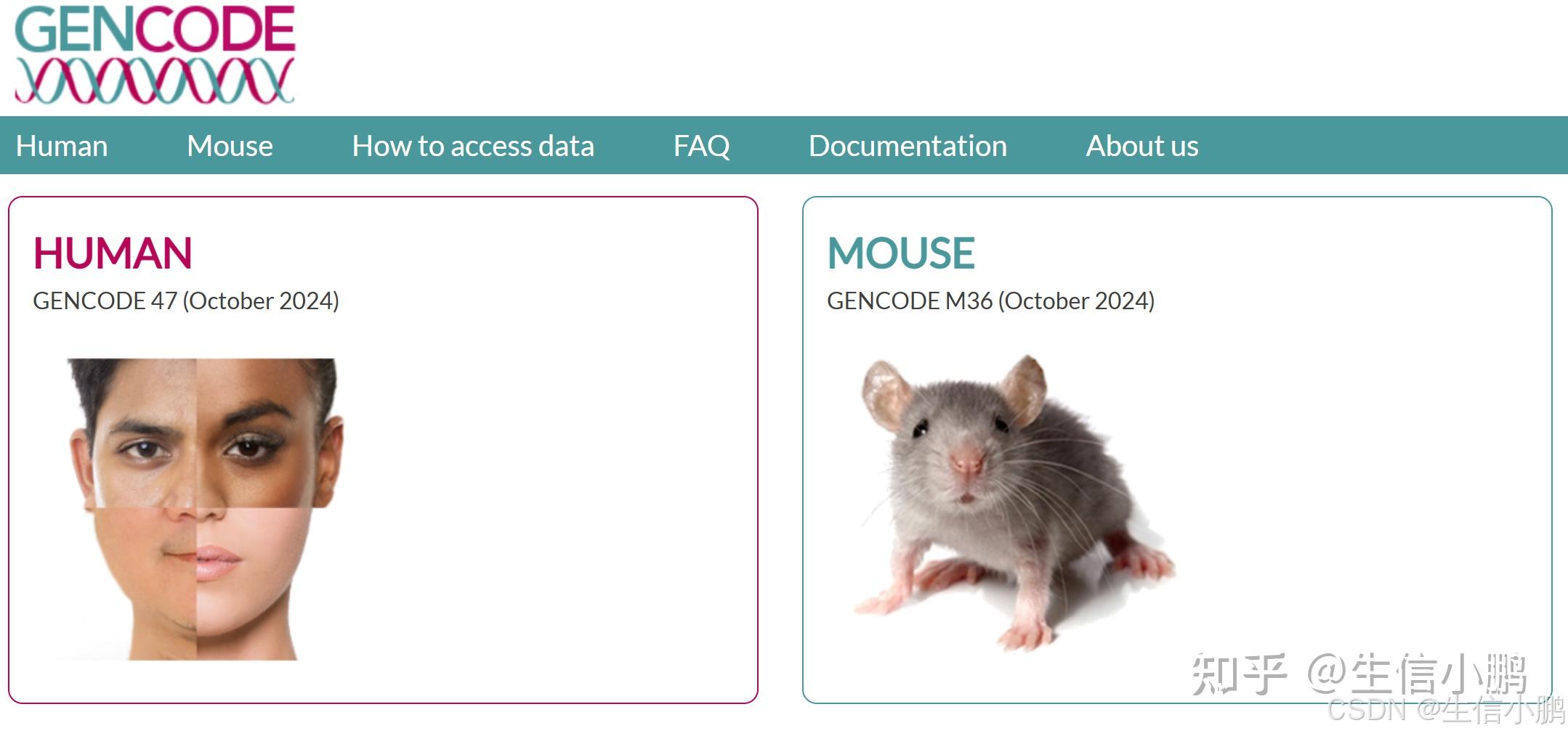 单细胞分析（17）—— RNA Velocity有关文件准备 - 知乎