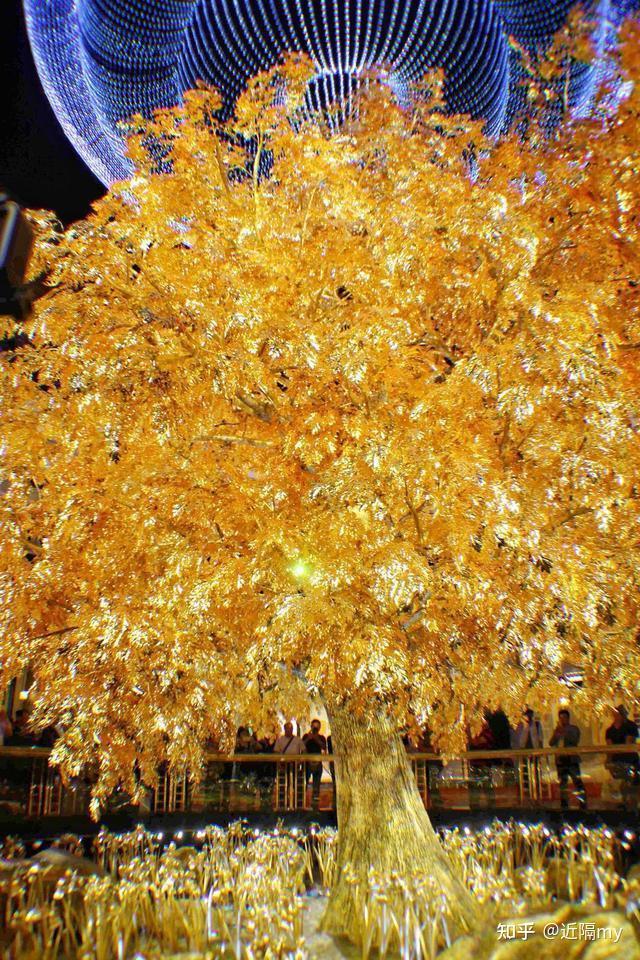 凝望深渊时，深渊也凝望着你（黑洞与摇钱树） - 知乎