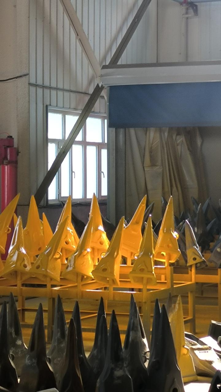 斗齿分类 - 知乎