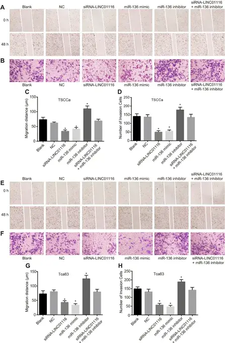 图像查重丨ImaChek检测专题（二） - 知乎