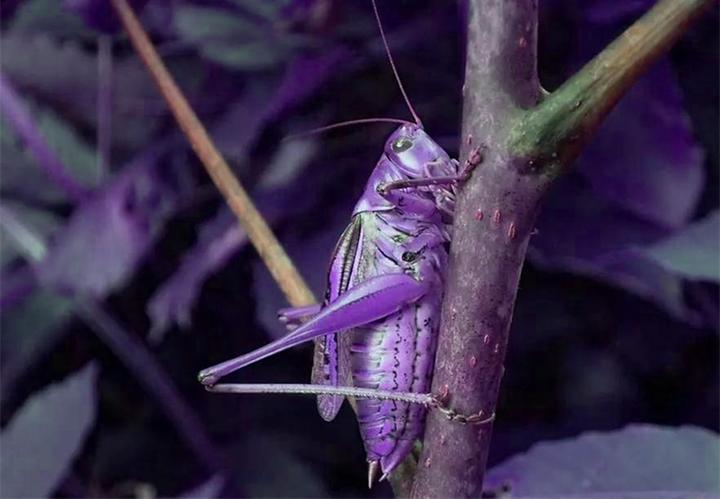 用Python的sympy模块研究矩阵乘法 - 知乎