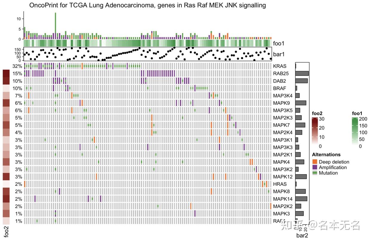 R 数据可视化 —— 聚类热图 ComplexHeatmap(五)oncoprint - 知乎