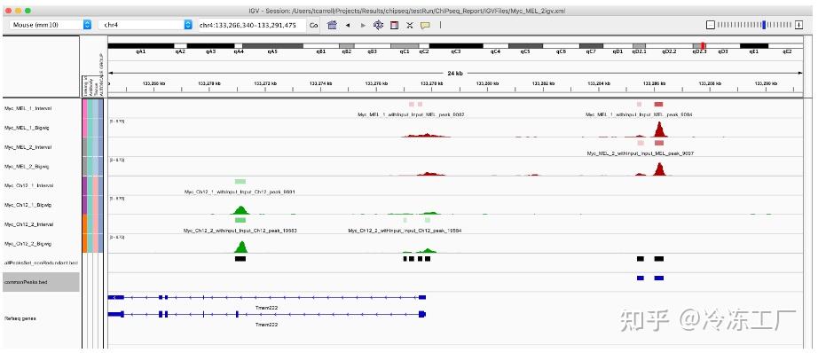 ChIP-seq 分析：Consensus Peaks（14） - 知乎