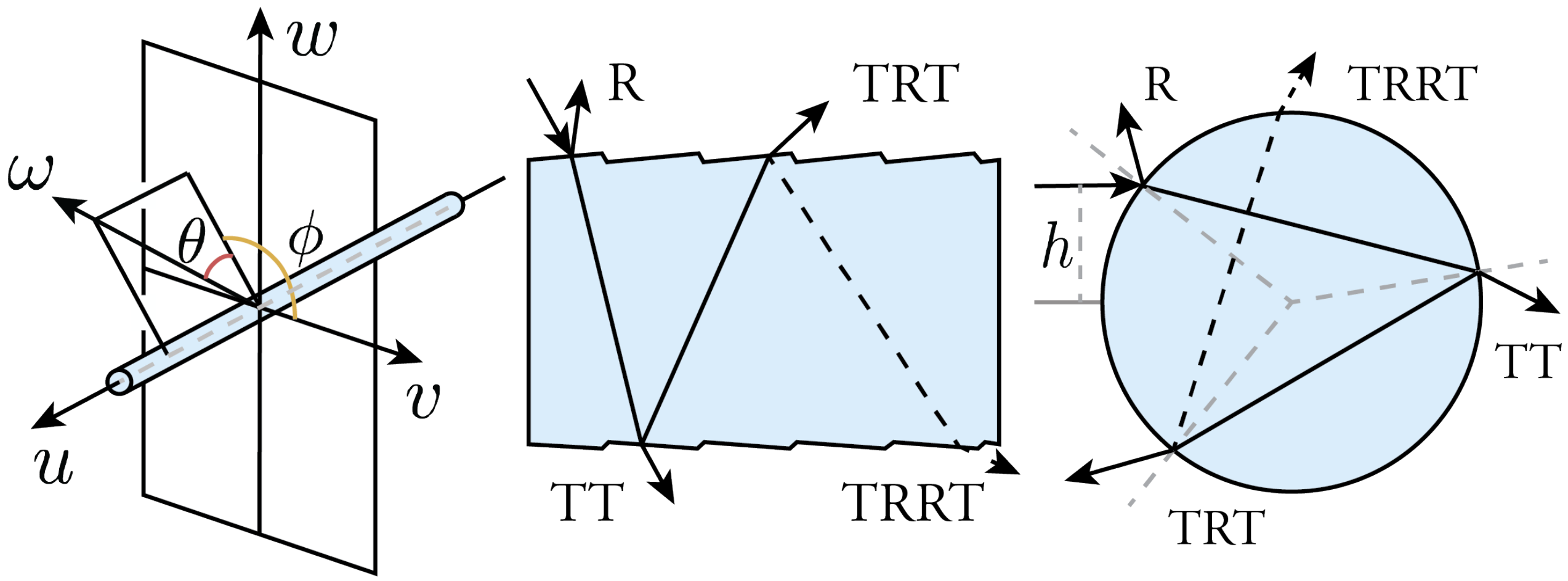 描述毛发的 BCSDF：Marschner Model、Double Cylinder Model - 知乎