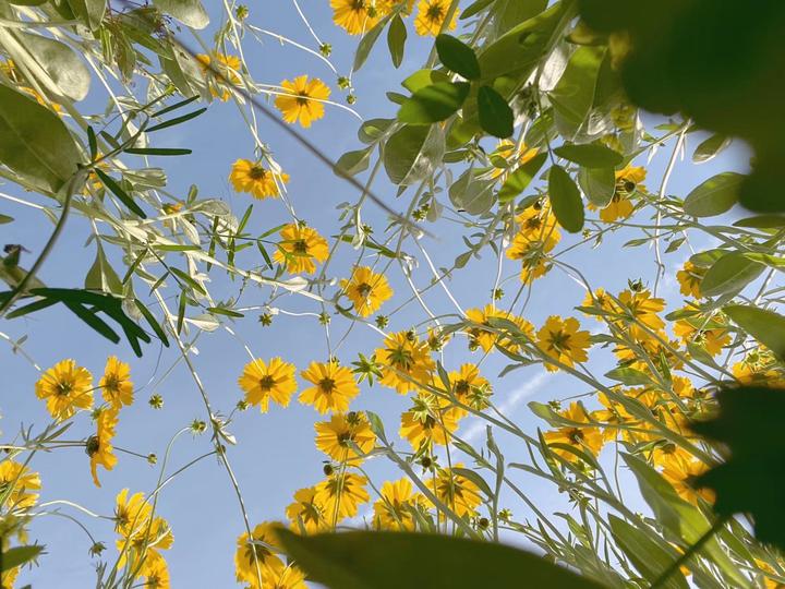 inure(enure)在法律英语中的含义及用法 - 知乎