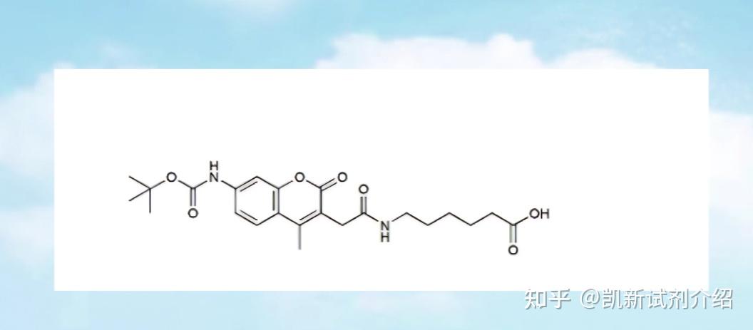 超实用！AMCA 长链羧酸（AMCA LC Acid）的必备技巧大全 - 知乎