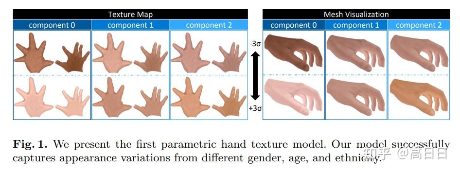 数字人基础 | 3D手部参数化模型2017-2023 - 知乎