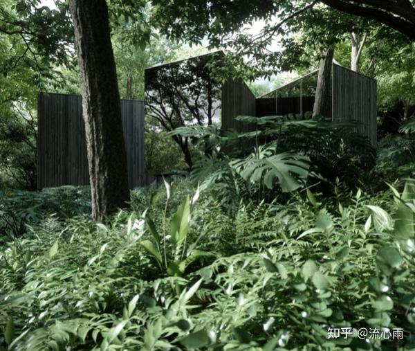 3ds Max插件Forest Pack最强森林插件更新了！ - 知乎