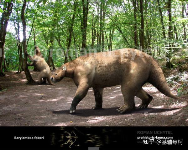 新生代巨兽猛兽及其他掠食者精简名录：古兽争锋榜（古近纪篇） - 知乎