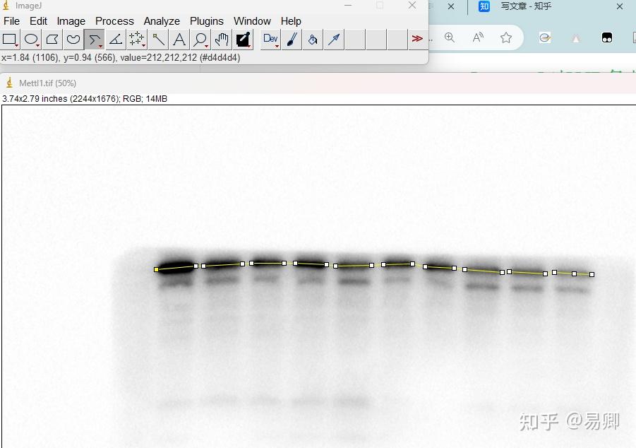 一文读懂！Image J与WB图像的处理与分析 - 知乎