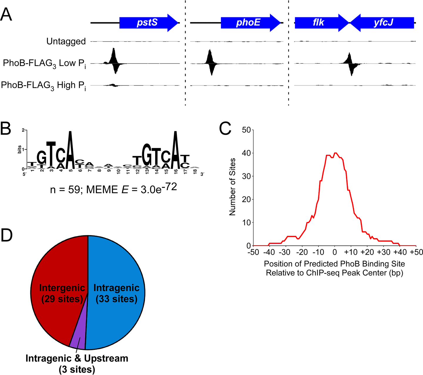 易基因：全基因组ChIP-seq分析揭示细菌转录因子PhoB的基因内结合位点｜mBio - 知乎