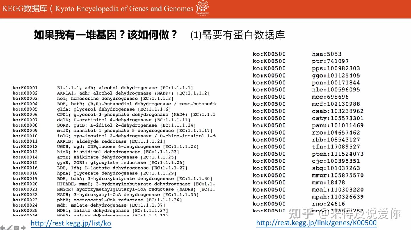 宏基因组分析流程实操理论 - 知乎