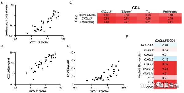 肿瘤微环境中的新秀：CXCL13+ T细胞 - 知乎