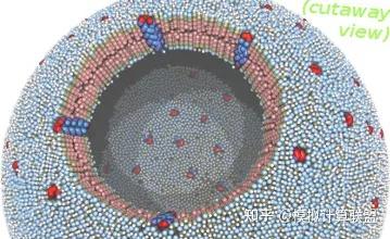 LAMMPS分子模拟Moltemplate建模方法 - 知乎