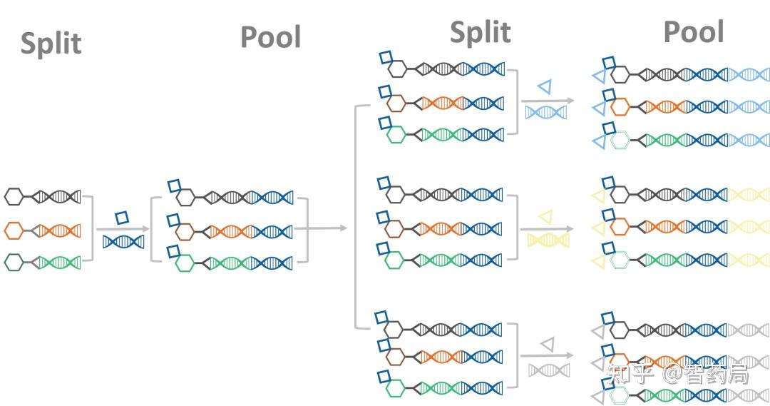 机器学习与DEL筛选，一对好朋友 - 知乎