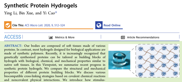 南京大学曹毅团队《ACS Macro Lett.》: 合成蛋白水凝胶的最新进展 - 知乎