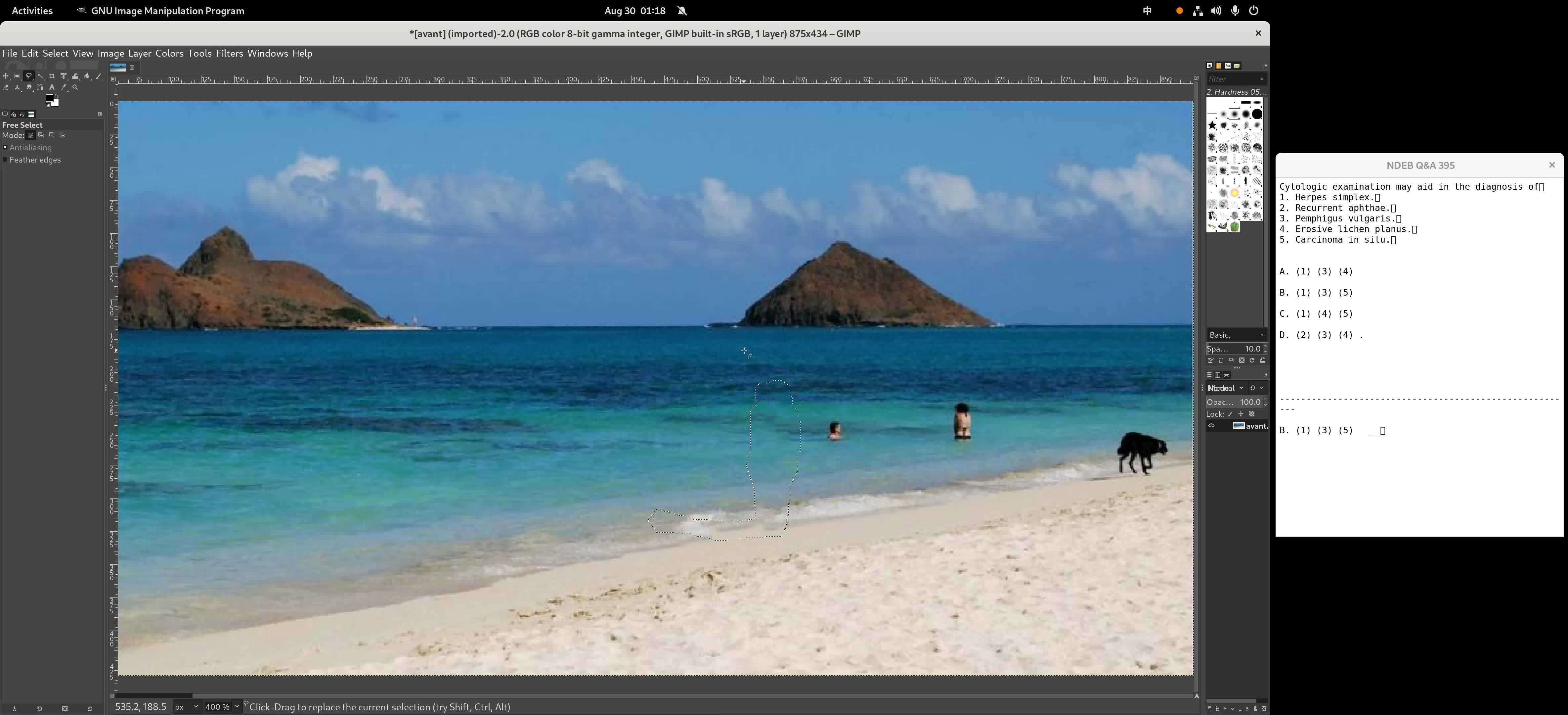 GIMP how to "Content Aware Fill" 修图去掉抢镜头的人或物 ? - 知乎