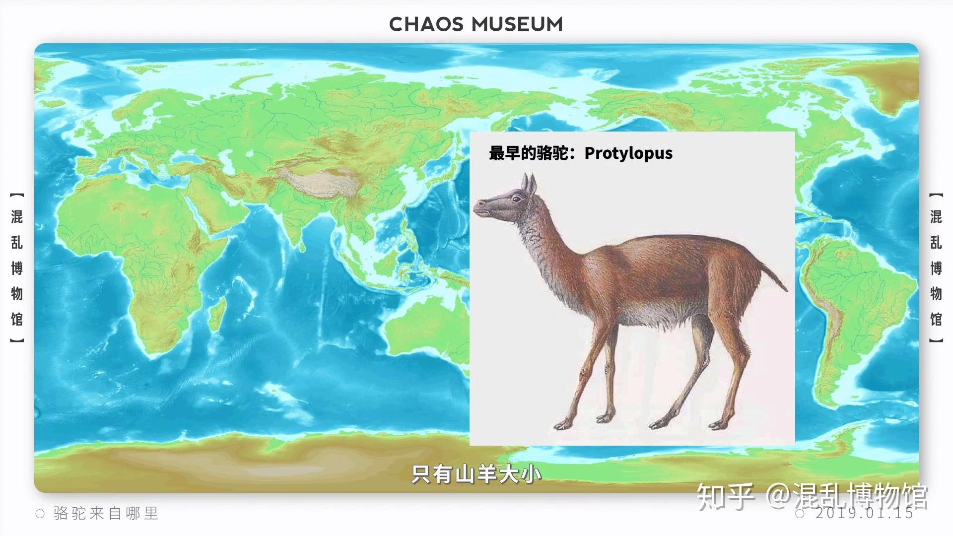 骆驼有哪些生理特性？为什么被称作「沙漠之舟」？ - 知乎