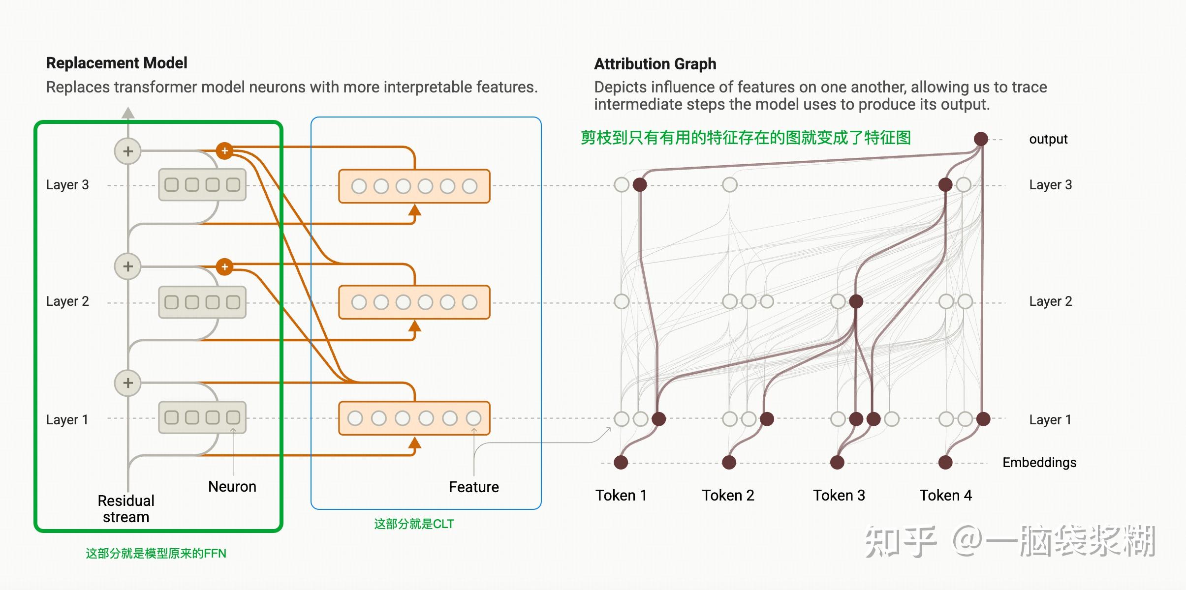On the Biology of a Large Language Model——论文学习笔记——CLT和知识推理 - 知乎