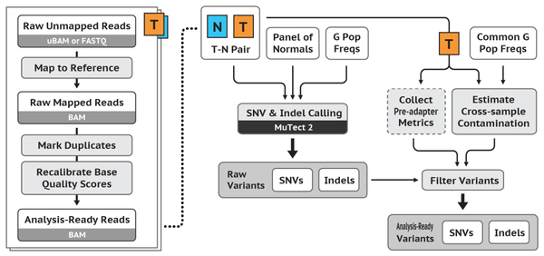 GATK教程 / 体细胞短变异检测 (SNV+InDel)流程概览 - 知乎