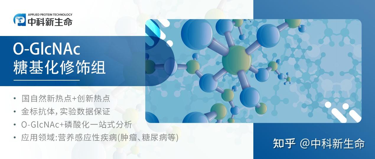 国自然研究新宠：O-GlcNAc糖基化修饰 | 应用思路盘点 - 知乎