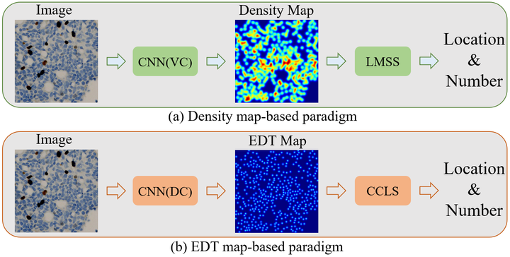 用于细胞定位的指数距离变换图--Exponential Distance Transform Maps for Cell Localization - 知乎