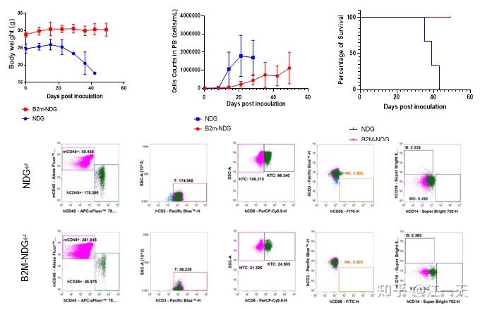 创模生物PBMC-LT 平台：引领免疫疗法研究的革新 - 知乎
