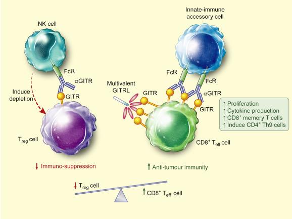直击ASCO 2018：PD-1及其联合治疗靶点作用机制 - 知乎