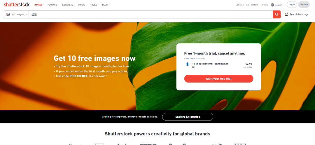 如何从 shutterstock 下载无水印小样图 - 知乎