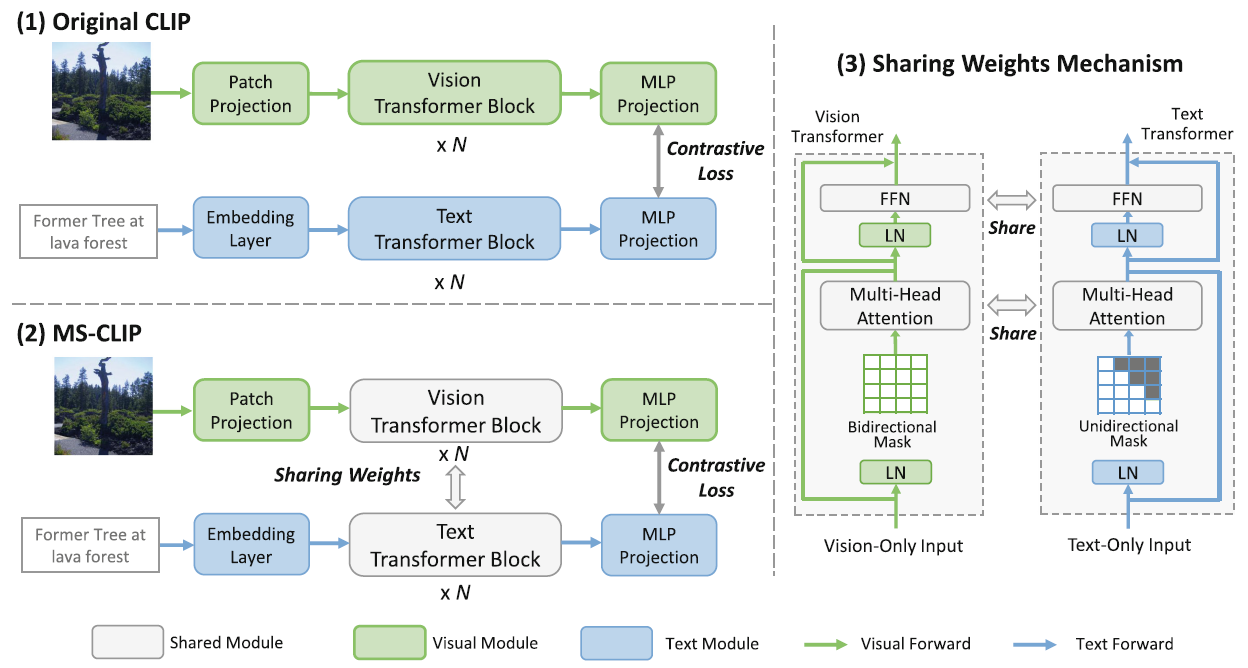 ECCV 2022 | MS-CLIP：共享部分参数的改进版 CLIP，为视觉任务特别优化 - 知乎