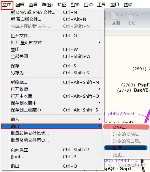 超详细的保姆级SnapGene软件应用汇总，建议收藏备用！！！ - 知乎