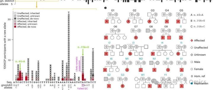 NG | 小核 RNA 基因 RNU2-2 的突变会导致严重神经发育障碍疾病 - 知乎
