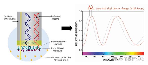 BLI (ForteBio)生物膜干涉技术分子互作实验服务 - 知乎